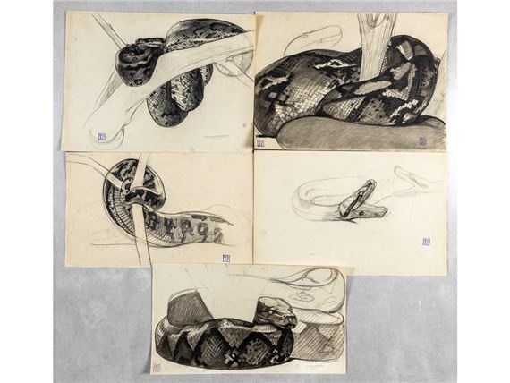 Jean Durand | Des pythons | MutualArt