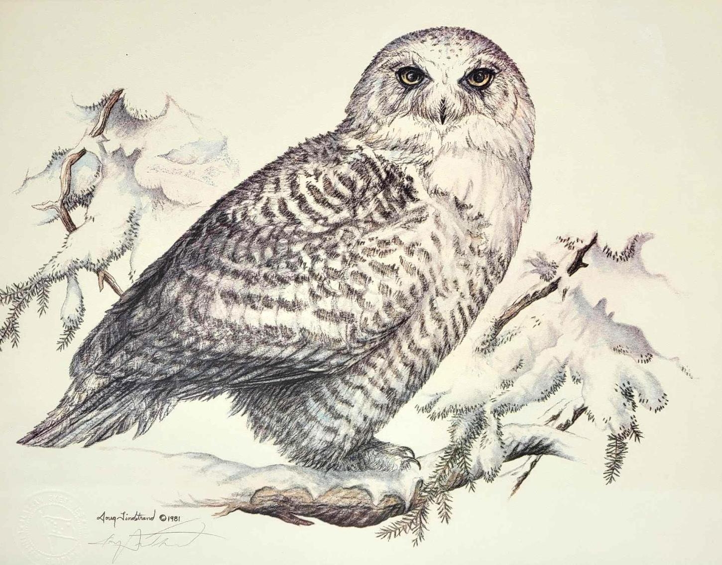 Doug Lindstrand | Snow Owl | MutualArt