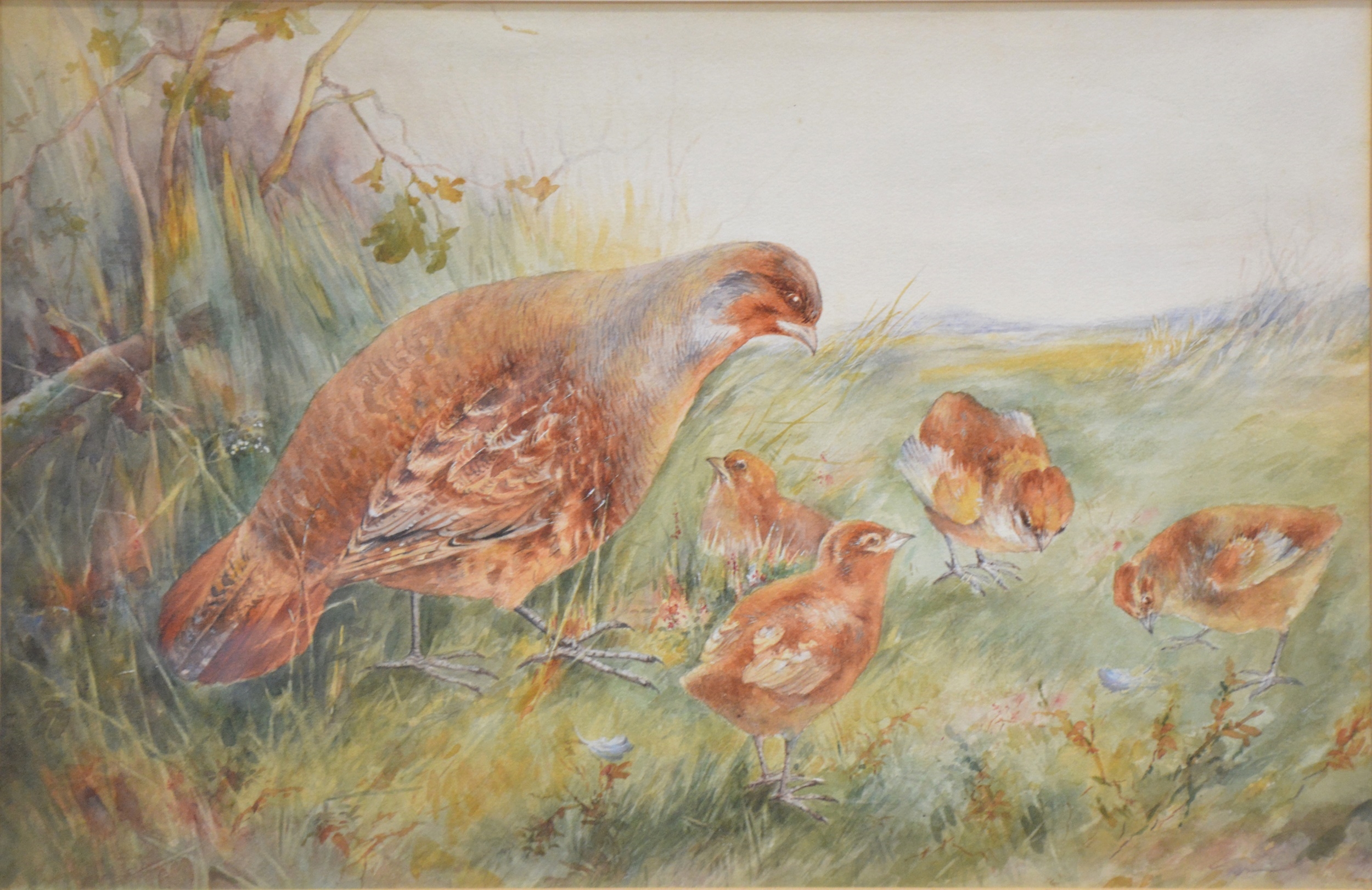 Henry Stannard | Grouse hen and chicks | MutualArt