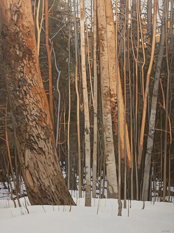 Peter Rotter | BIRCH GROVE | MutualArt
