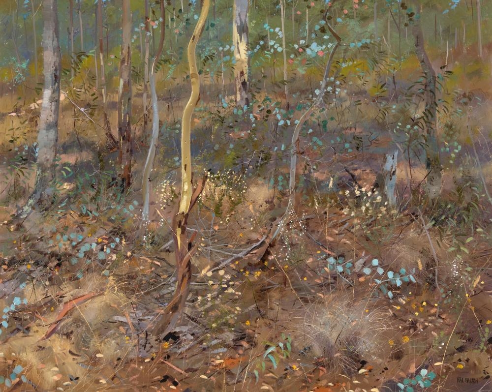 Hal Barton | Coastal Bush, Noosa, QLD | MutualArt