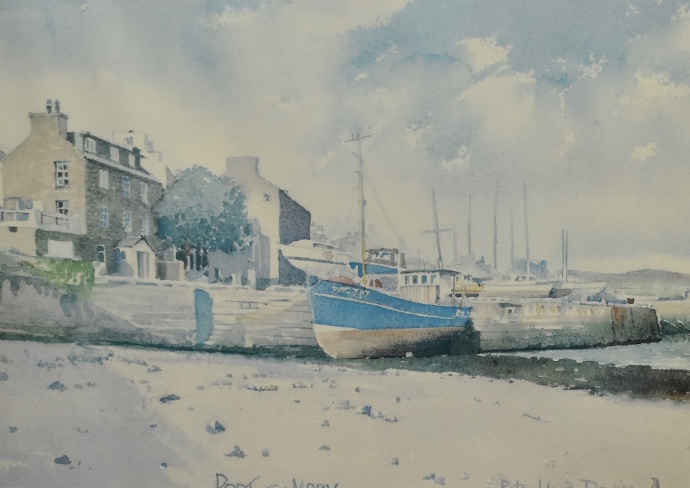 Peter Lloyd Davies | 'Port St Mary' | MutualArt