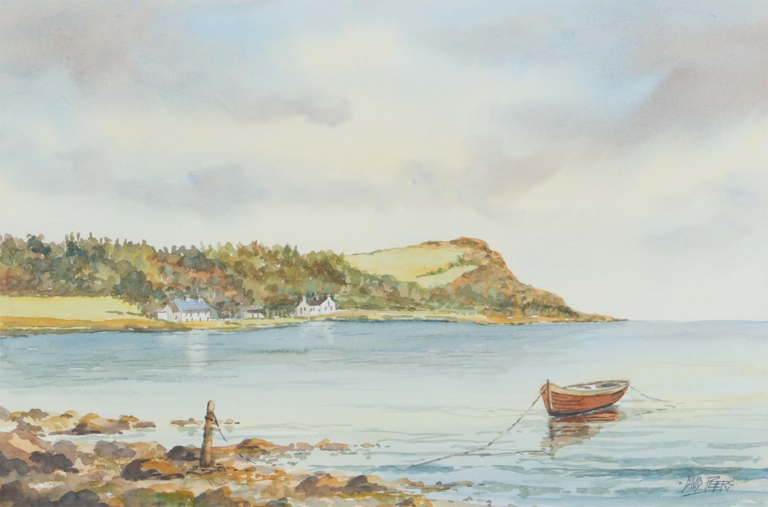 David Peters | BALLYGALLY FROM DRAINS BAY (1999) | MutualArt