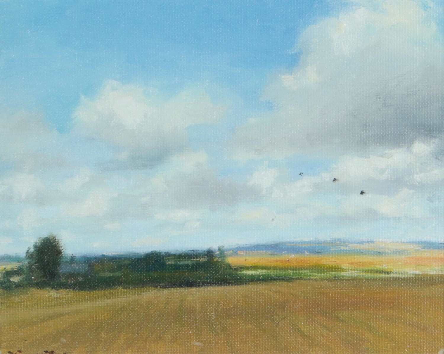 Thomas Ryan | THE NAUL HILL, COUNTY DUBLIN (1981) | MutualArt