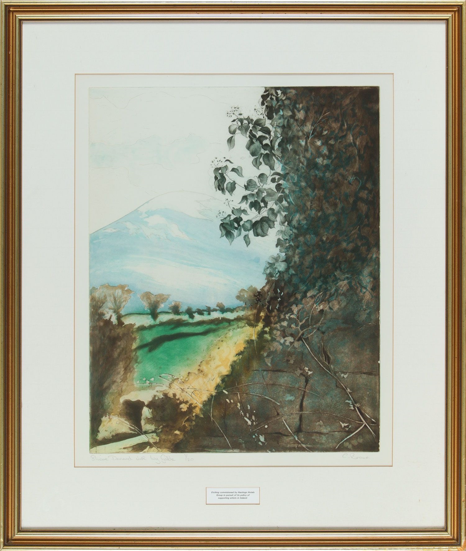 Camilla Brown | SLIEVE DONARD WITH IVY GABLE | MutualArt