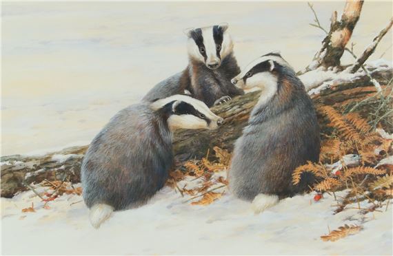 Neil Cox | BADGERS IN THE SNOW | MutualArt