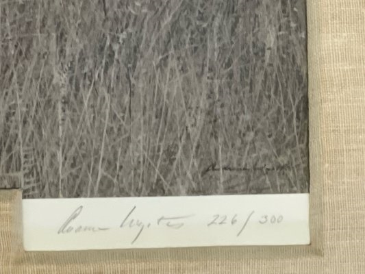 Andrew Wyeth | Andrew Wyeth Signed Print. Distant Thunder | MutualArt