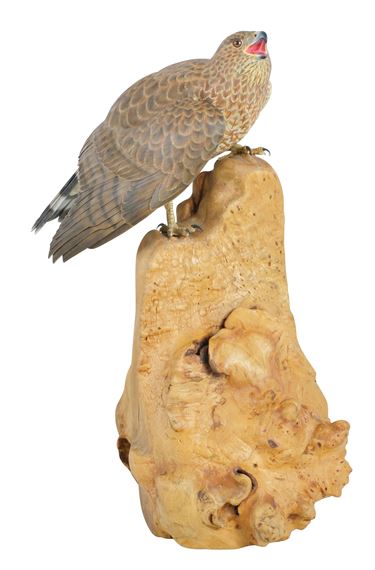 John Leeder | 1 Artworks | MutualArt