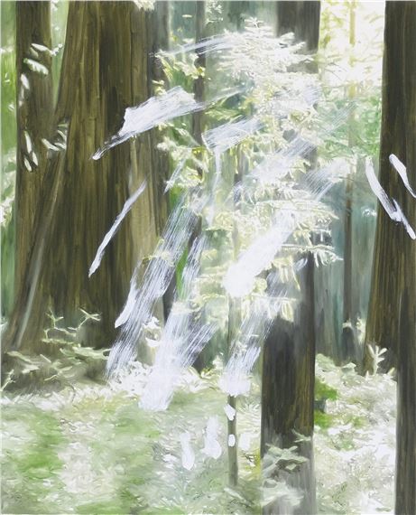 Markus Gadient | Landschaften und Tore Nr. 33, 2011 (2011) | MutualArt