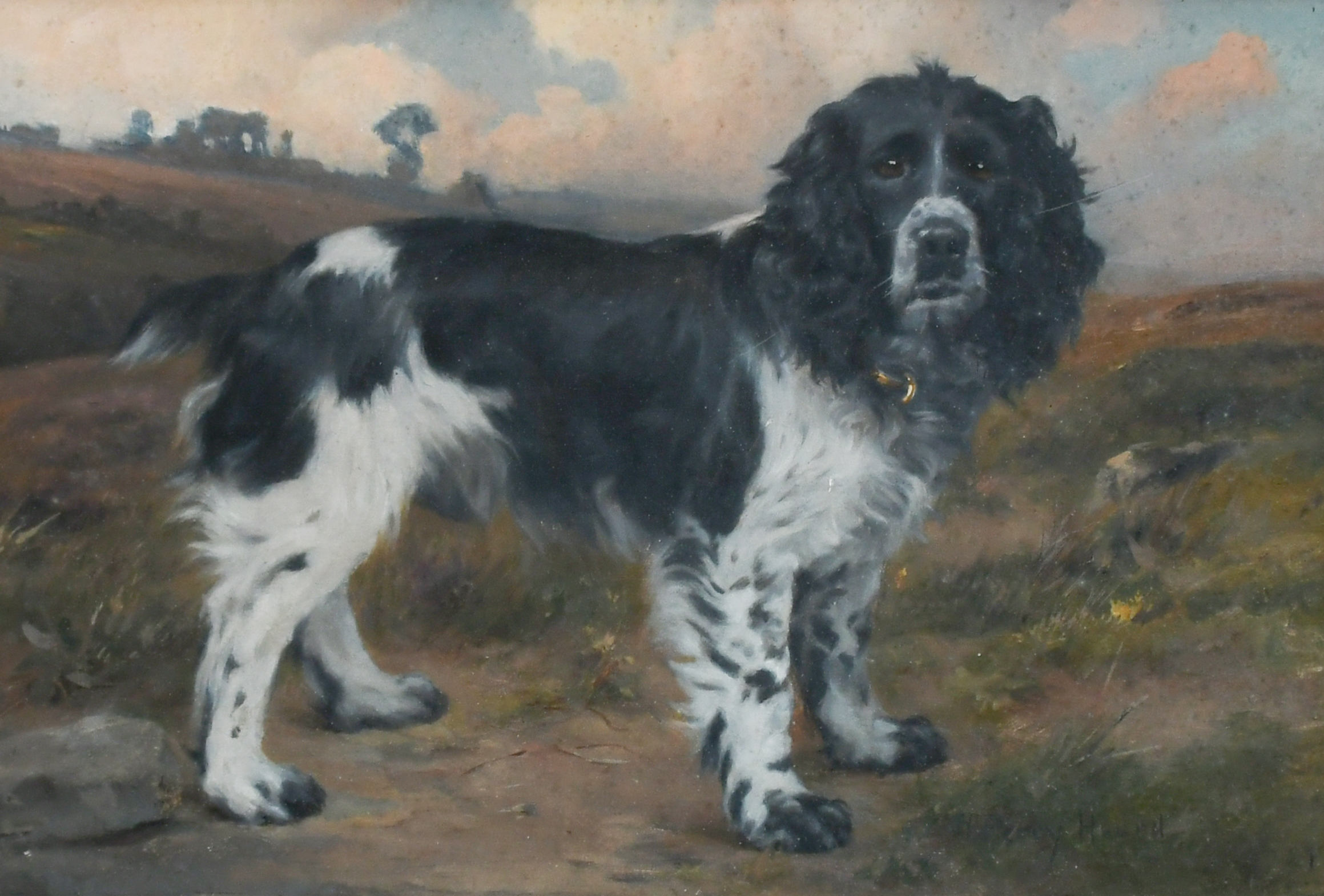 Hugh Percy Heard | Portrait of a spaniel standing in a landscape ...