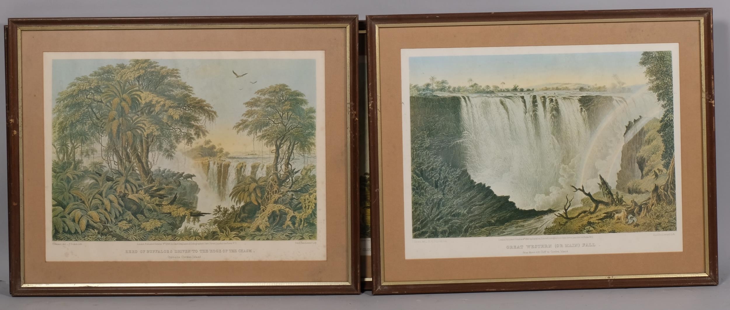 Thomas Baines | photo lithographs | MutualArt