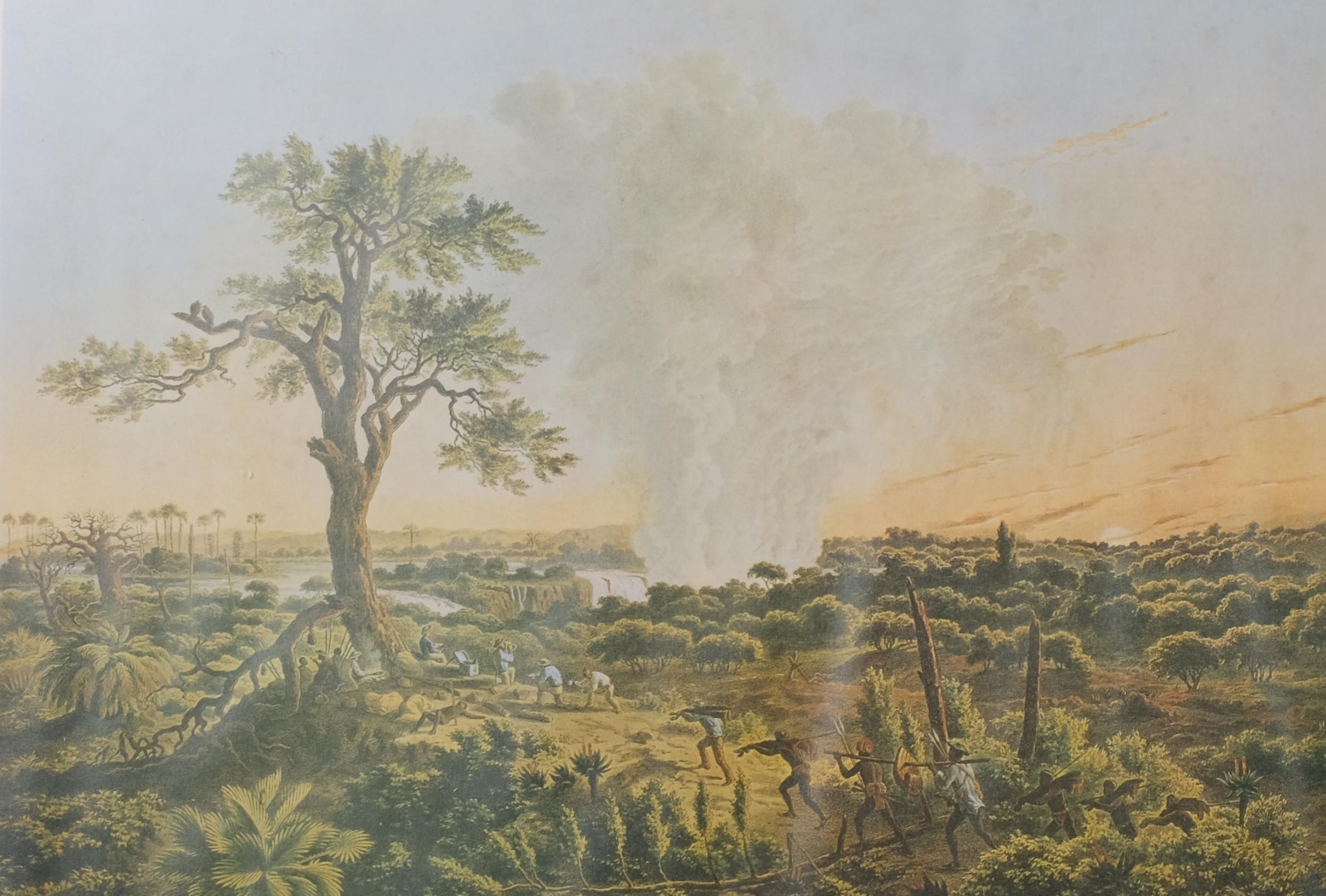 Thomas Baines | photo lithographs | MutualArt