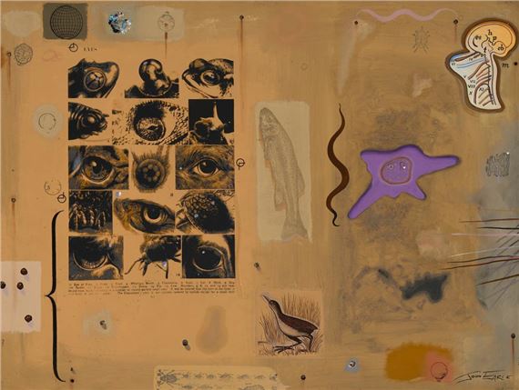 John Earle | Eye of Frog, 1987 (1987) | MutualArt