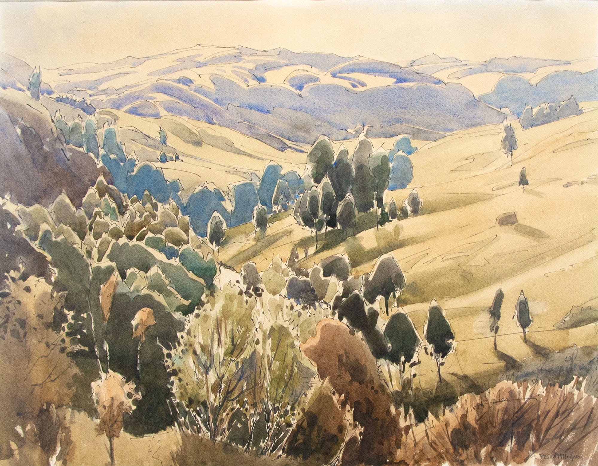 Peter McIntyre | Hawke | MutualArt