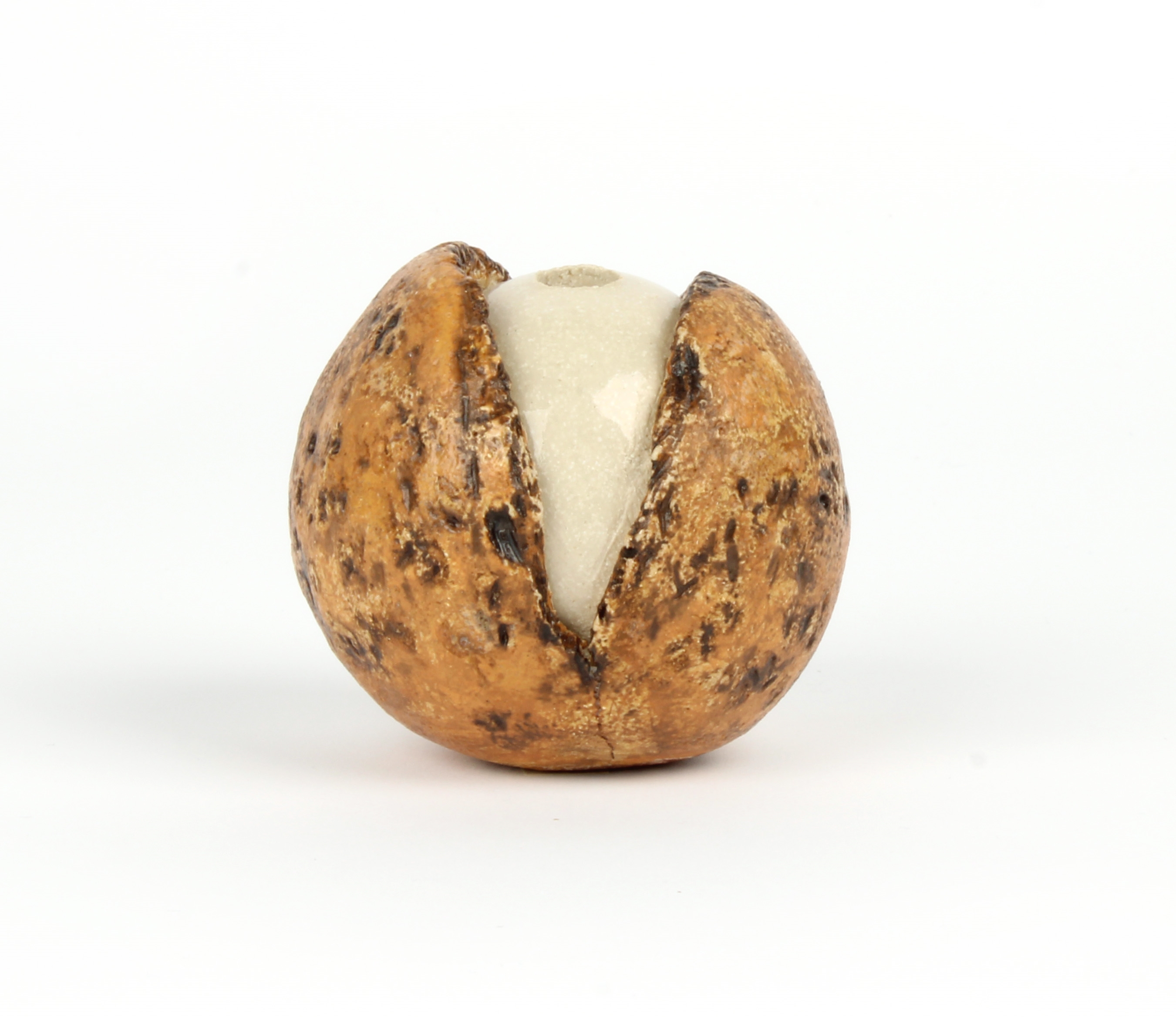 Alan Wallwork | Seed Pod Vessel | MutualArt
