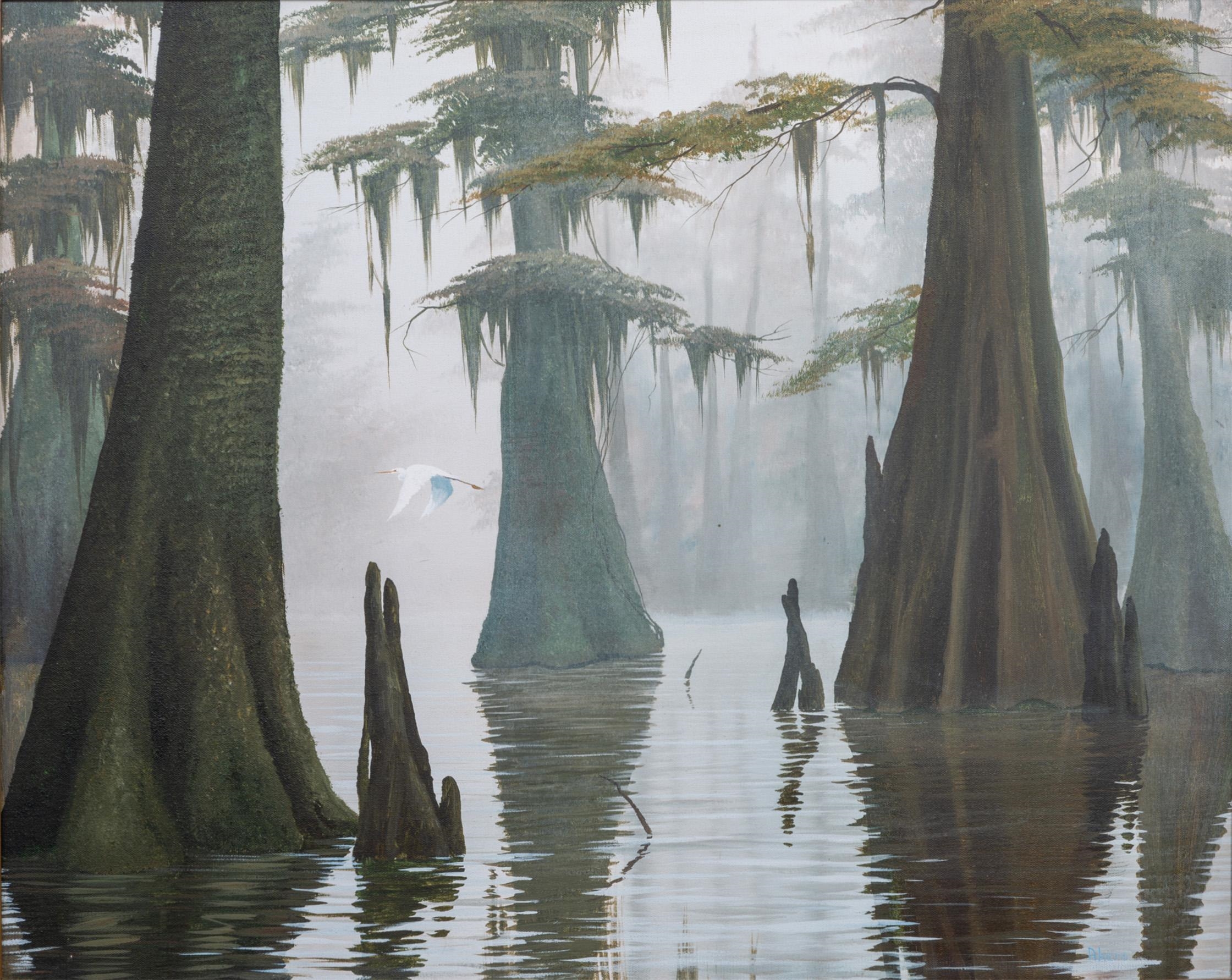 John Akers | Cypress Knees in Swamp | MutualArt