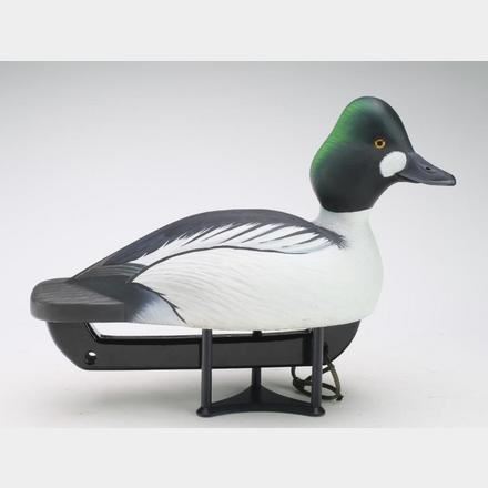 Tom Matus | Goldeneye | MutualArt