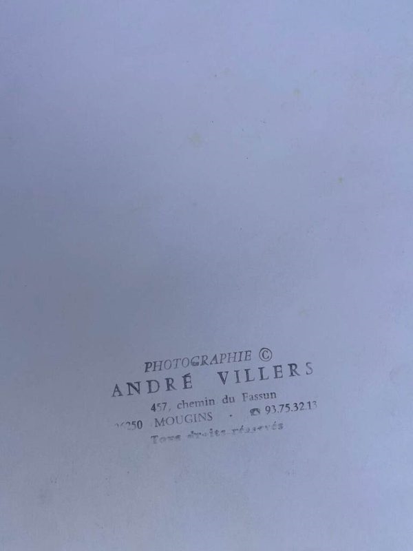André Villers | Portrait de Serge II OLDENBOURG | MutualArt