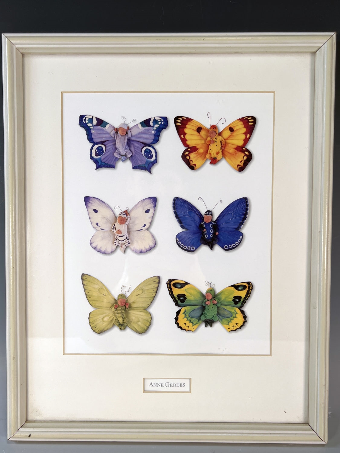 Anne Geddes | ANNE GEDDES BUTTERFLY COLLECTION AND POLKA DOT CHALKBOARD ...