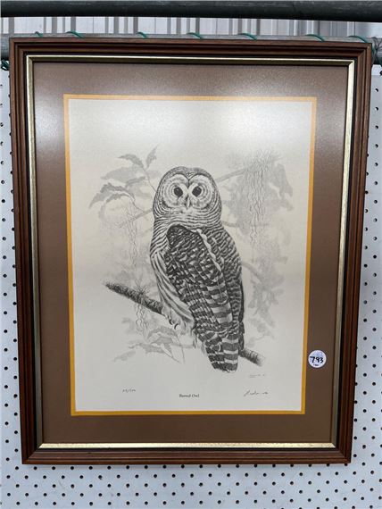 Don Radovich | Biography