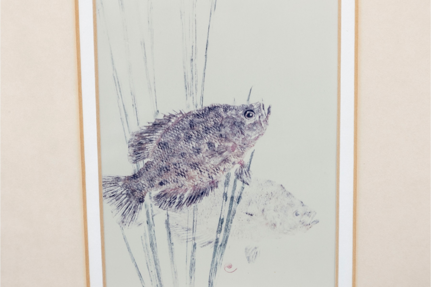 Ron Warner | Gyotaku of Black Crappie | MutualArt