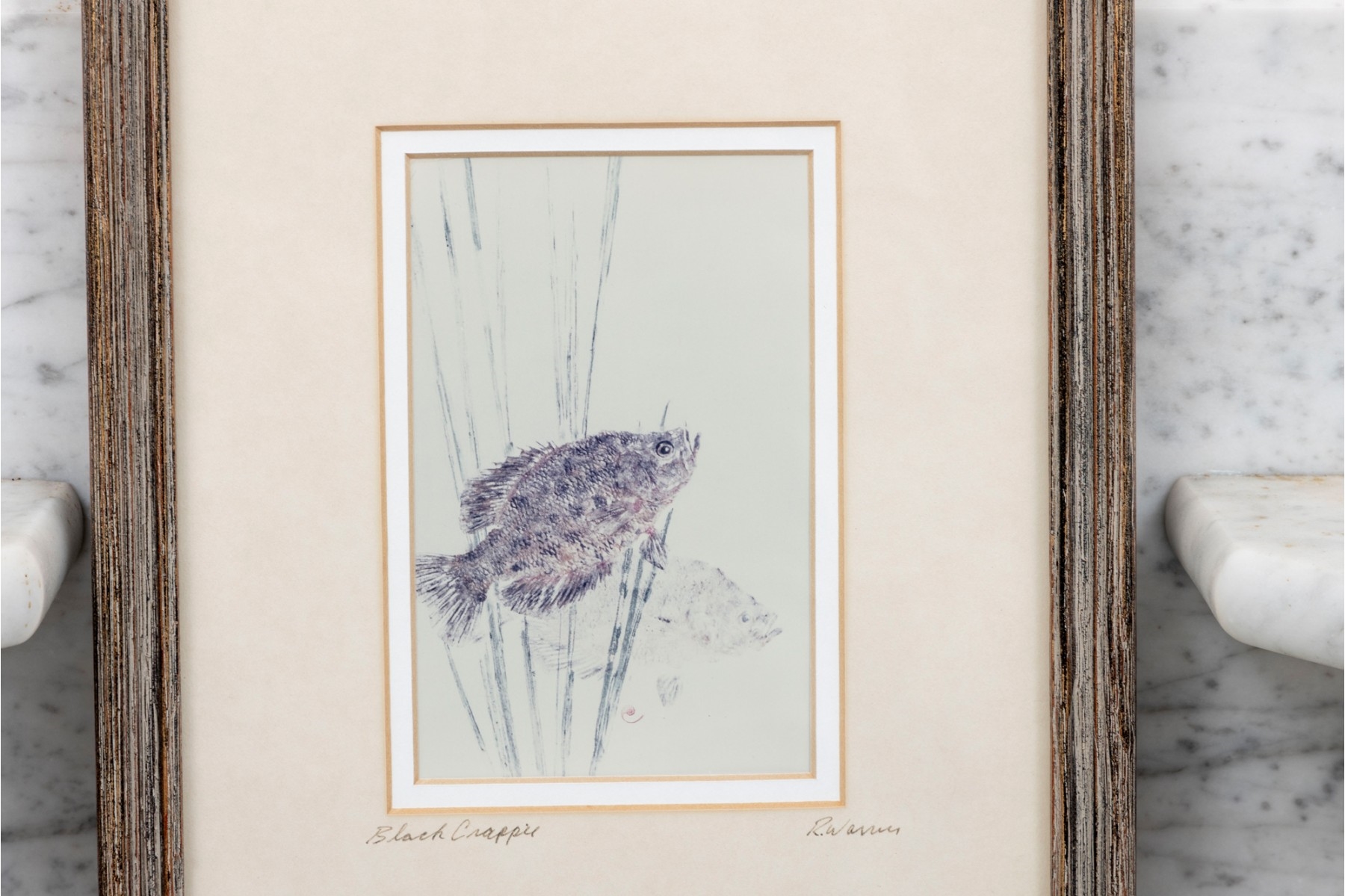 Ron Warner | Gyotaku of Black Crappie | MutualArt