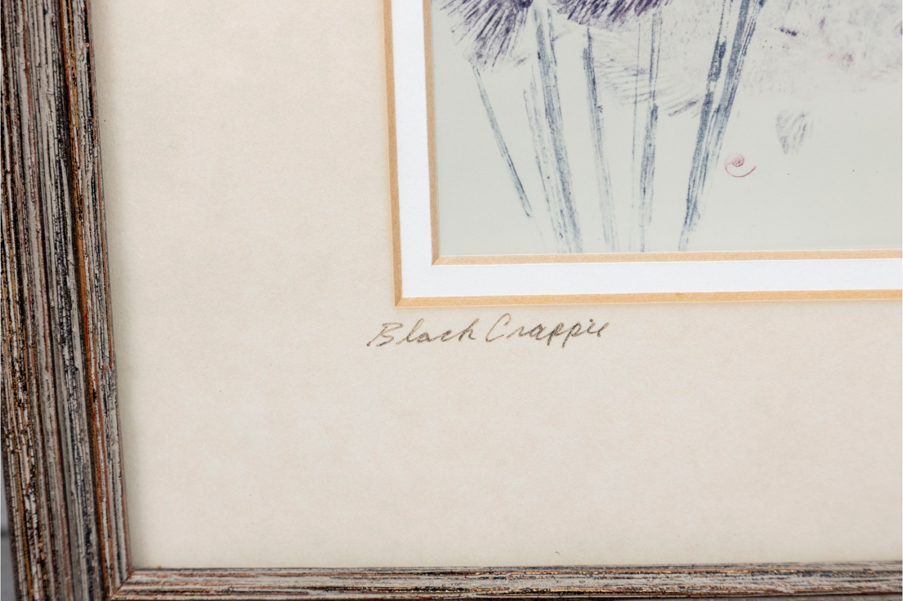 Ron Warner | Gyotaku of Black Crappie | MutualArt