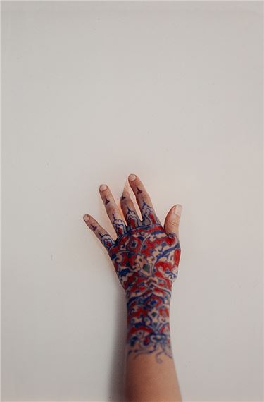 Adriana Varejão | Qualquer Coisa (1998) | MutualArt