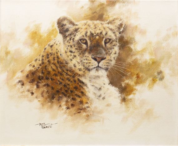 Tony Forrest | Leopard and snow leopard | MutualArt