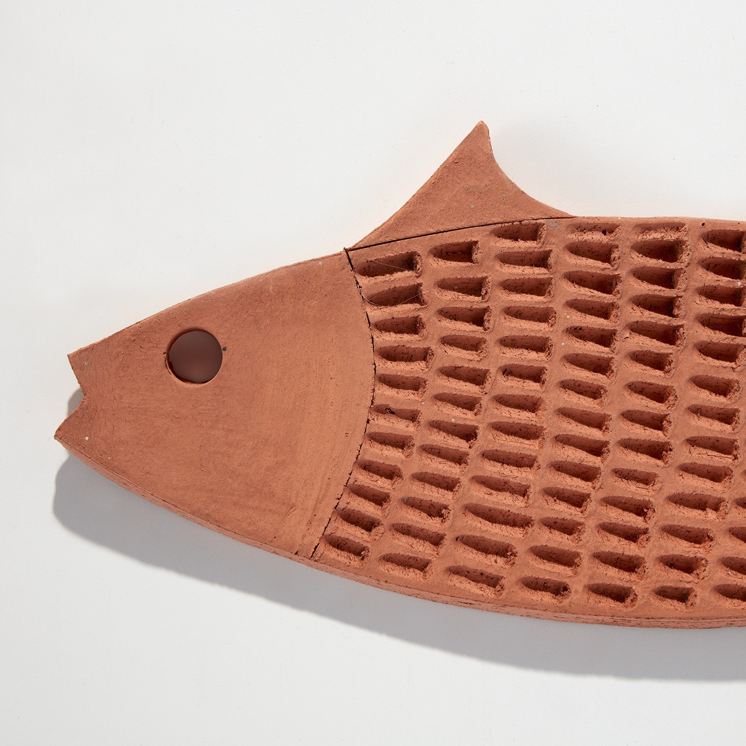Doyle Lane | Six fish plaques | MutualArt