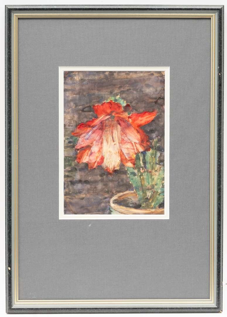 Rudolf de Bruyn Ouboter | Bloeiende lidcactus | MutualArt