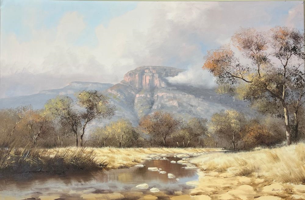 Thomas Hacking | Bushveld River Landscape | MutualArt
