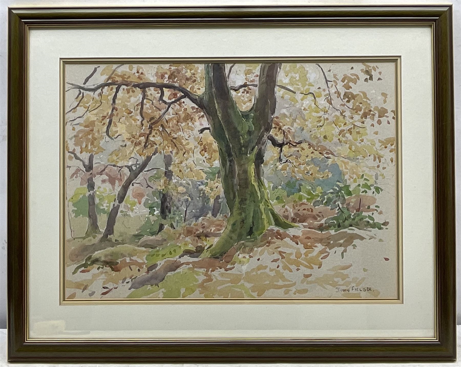 John Fielder | The Forest and the Hills | MutualArt