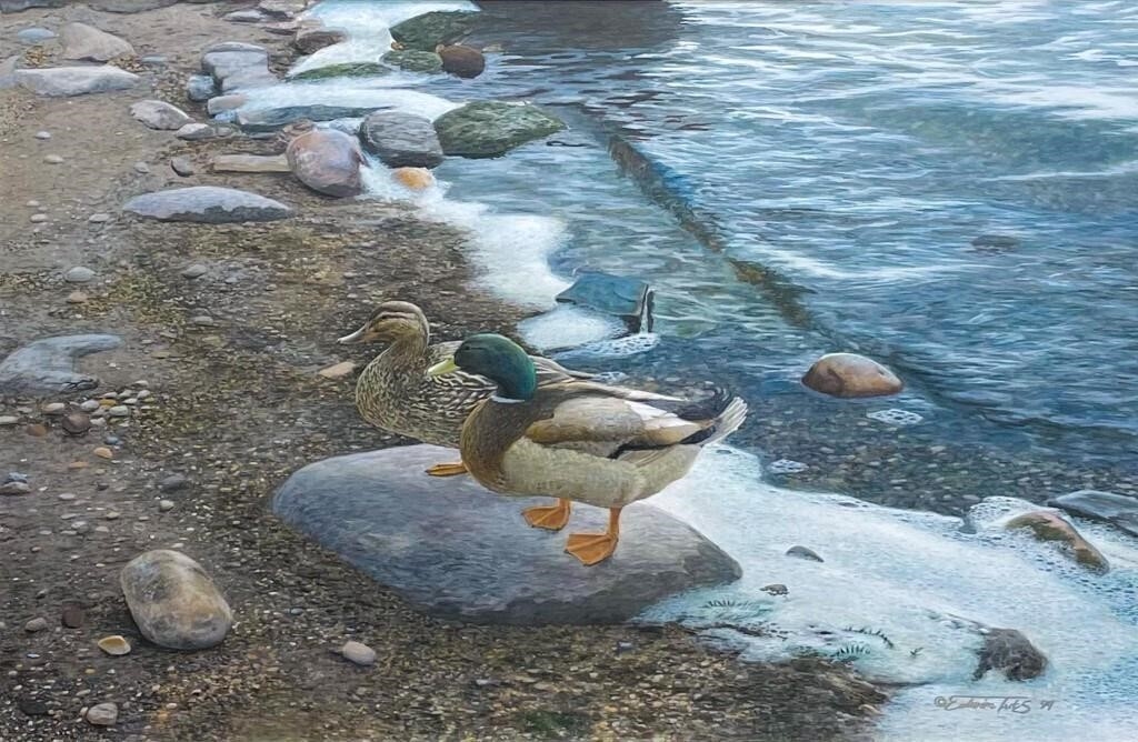 Edwin Tuts | Untitled (Two Ducks Standing on a Rock) | MutualArt
