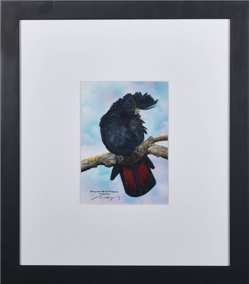 Paul Margocsy | Australian Red Tailed Black Cockatoo | MutualArt