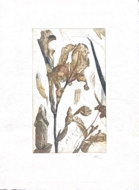 Fred Nall Hollis | Iris et Tulipe | MutualArt