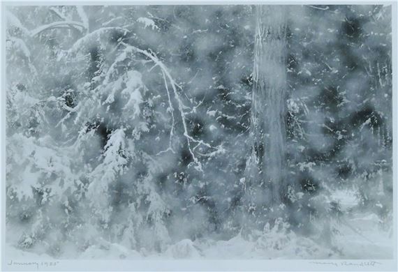 Mary Randlett | Mary Randlett ''January 1985'' (Winter Trees) Silver ...