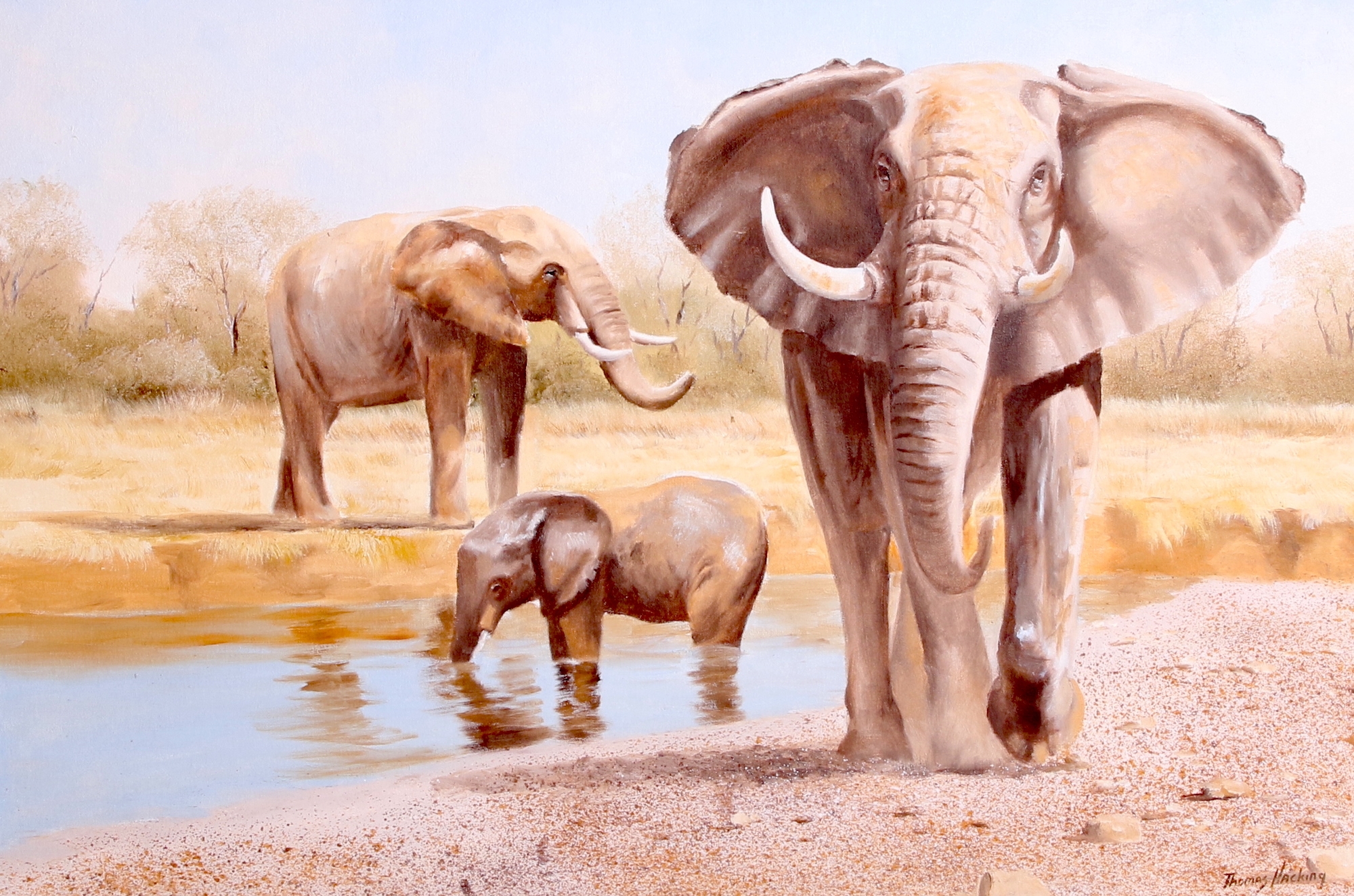 Thomas Hacking | ELEPHANTS BY THE WAREHOLE | MutualArt