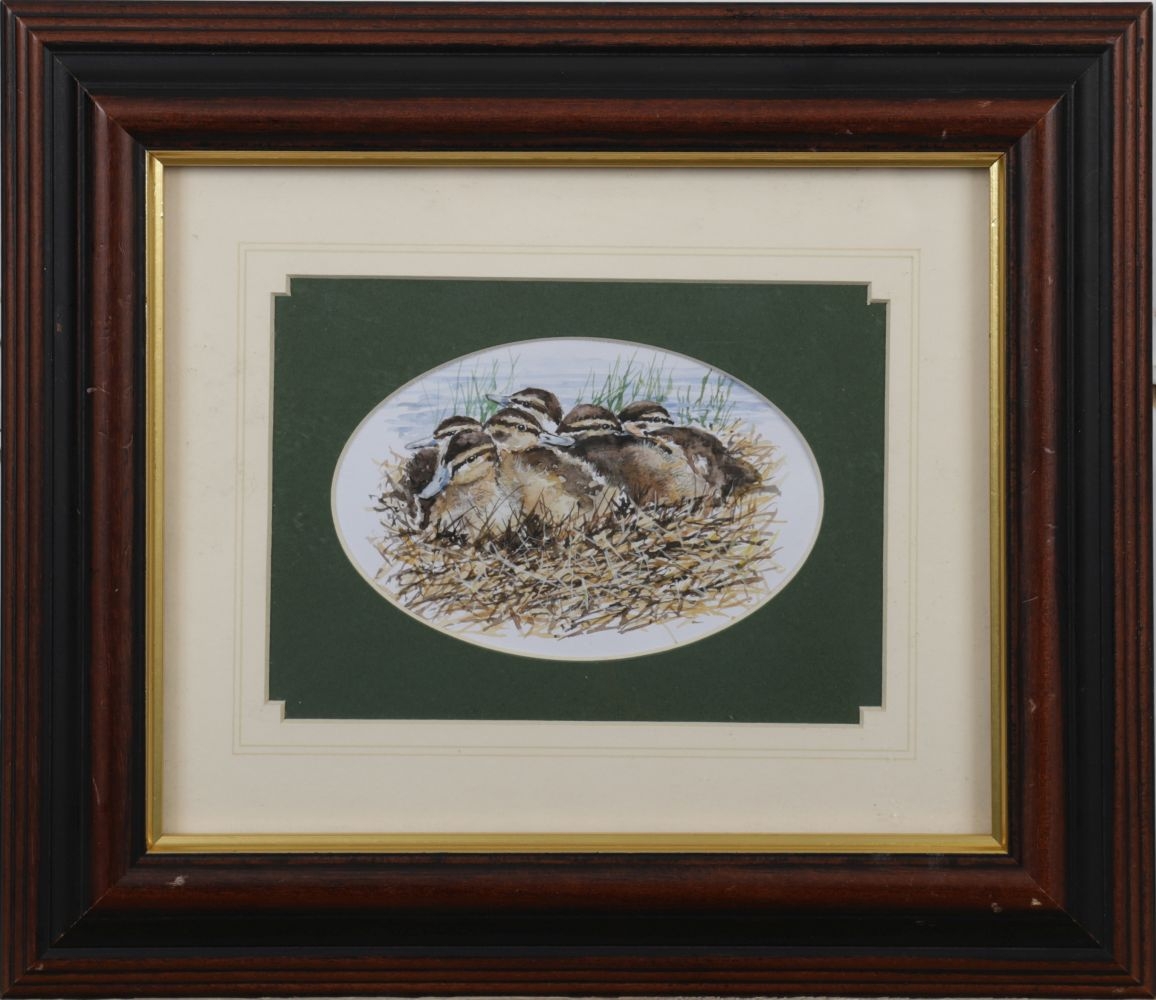 Andy Saunders | Snug as a bug | MutualArt