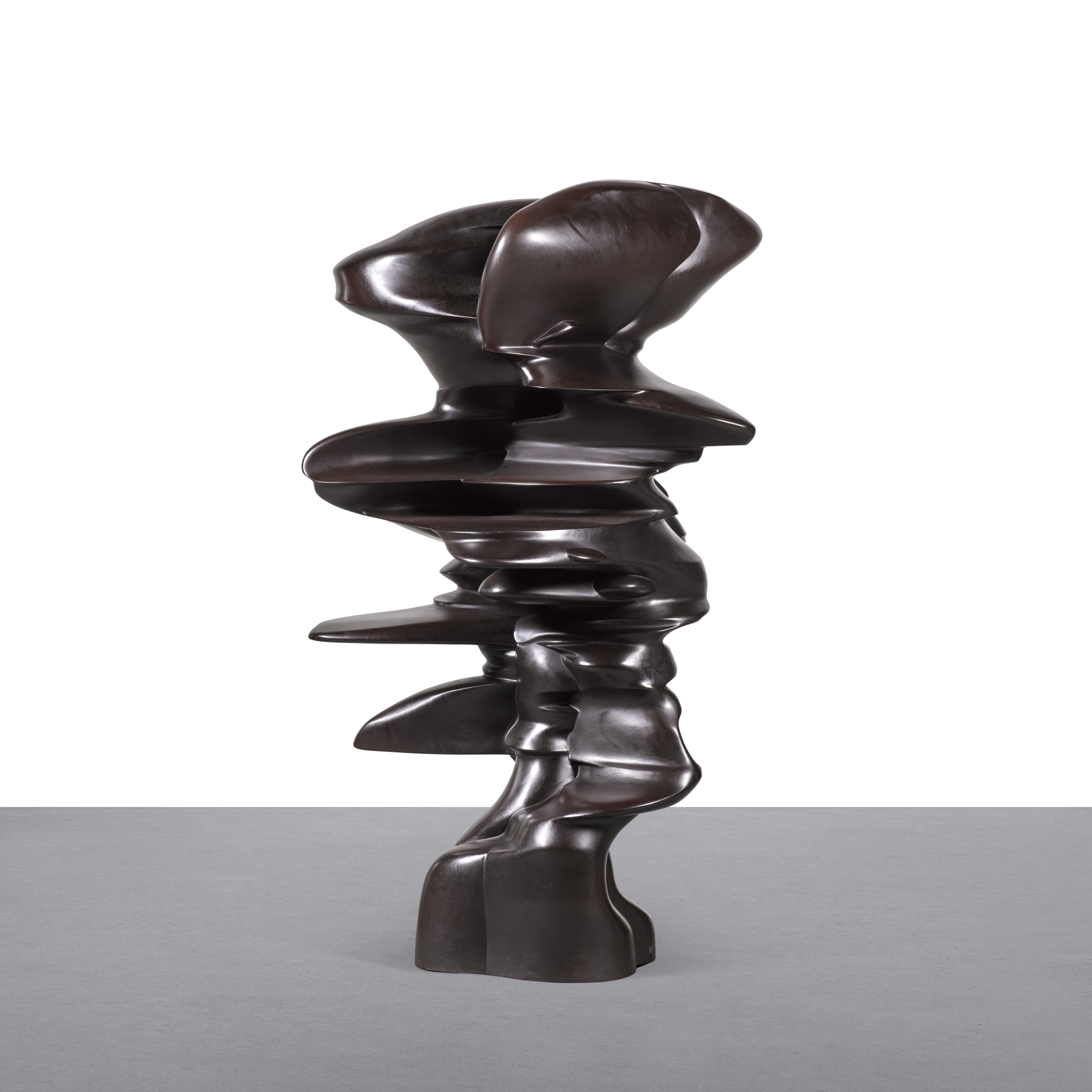 Tony Cragg | LUKE (2008) | MutualArt