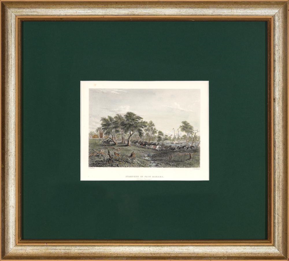 Thomas Baines | (2 WORKS) - Boab Tree and Stampede of Pack Horses ...