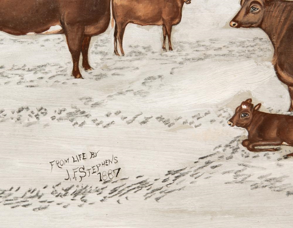 J. F. Stephens | Group of Short-Horn Cattle, Property of E.C. Coon ...