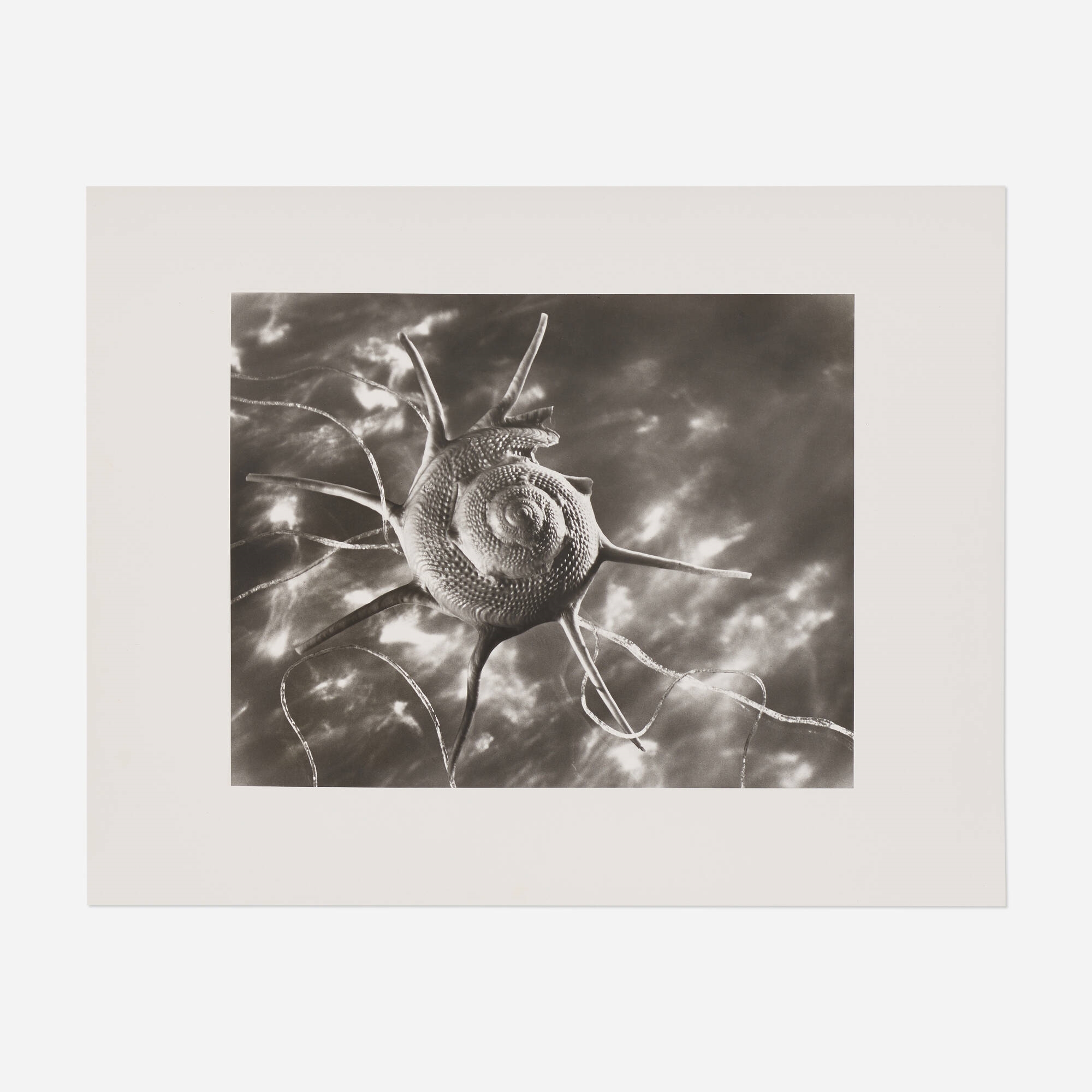 Ruth Bernhard | CONFIGURATION (SHADOWS), 1962 | MutualArt