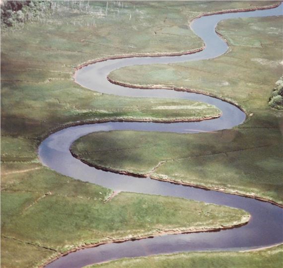 Alex MacLean | Winding River | MutualArt