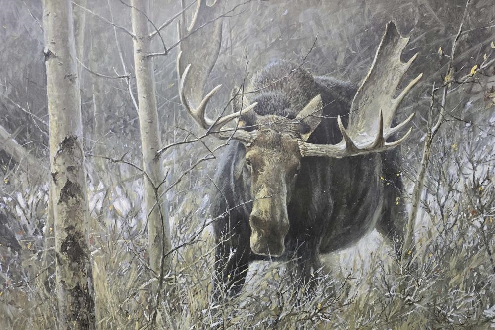 Robert Bateman | Robert Bateman Signed & Numbered Lithograph | MutualArt