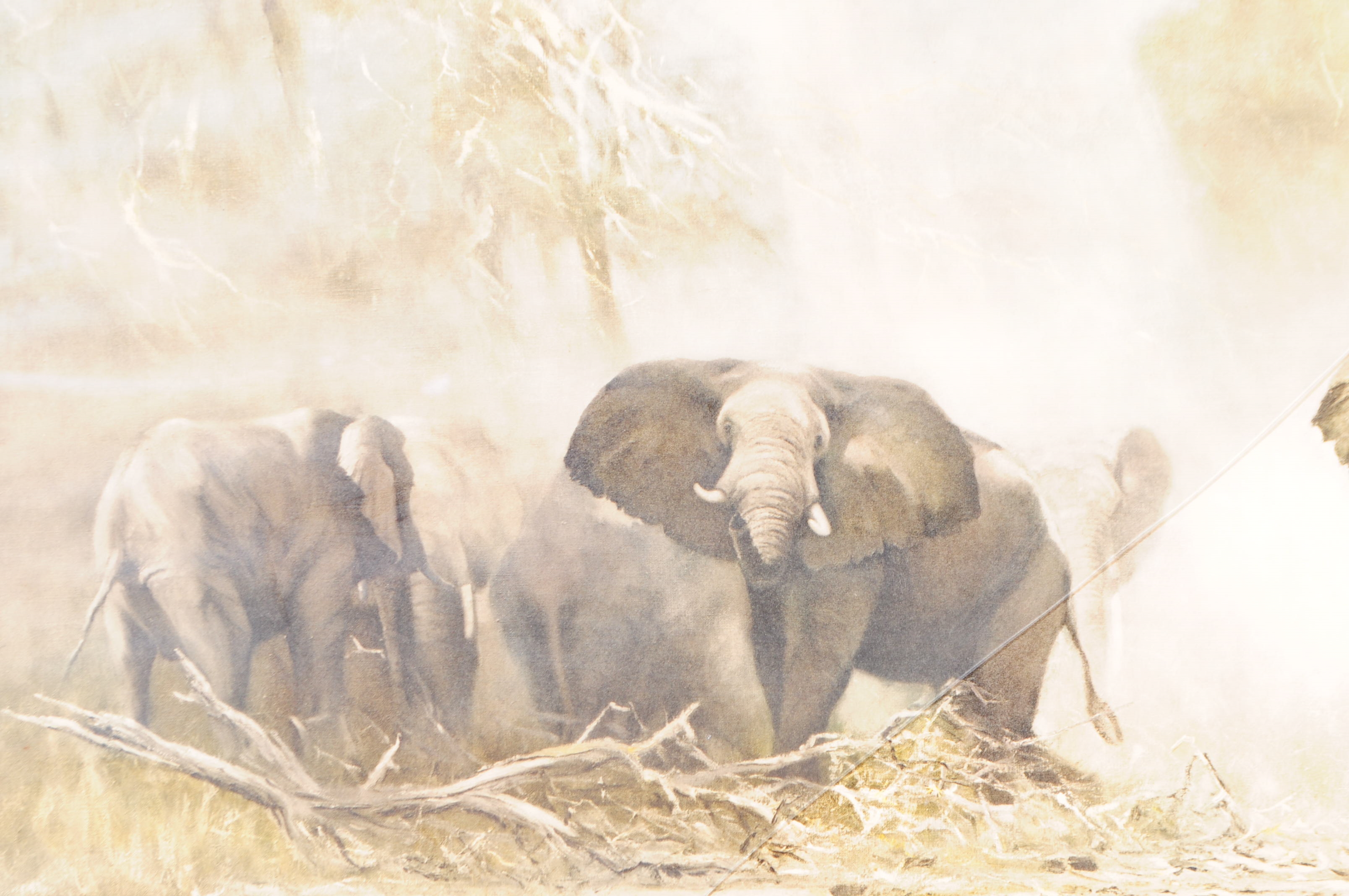 David Shepherd | ELEPHANTS AT AMBOSELI (1962) | MutualArt
