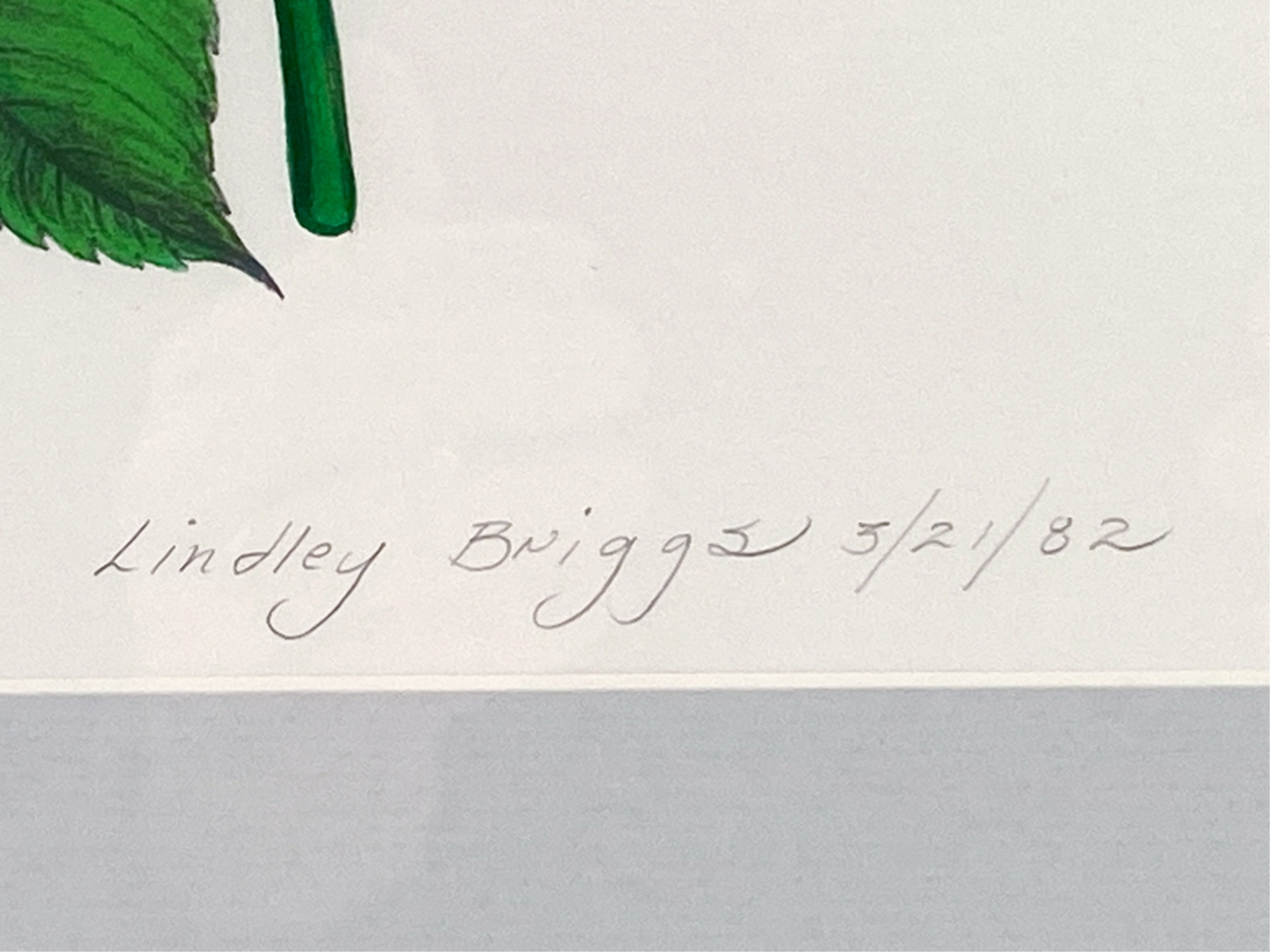 Lindley Briggs | LINDLEY BRIGGS COLOR LITHOGRAPH | MutualArt