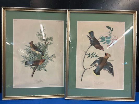 John James Audubon | Two J.J. Audubon Prints | MutualArt
