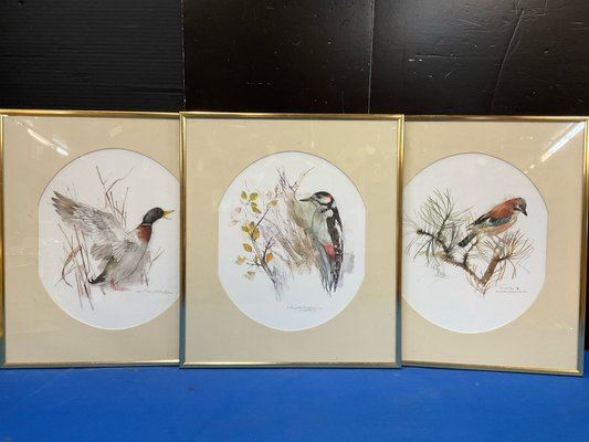 Mads Stage | Three Mads Stage Bird Prints | MutualArt
