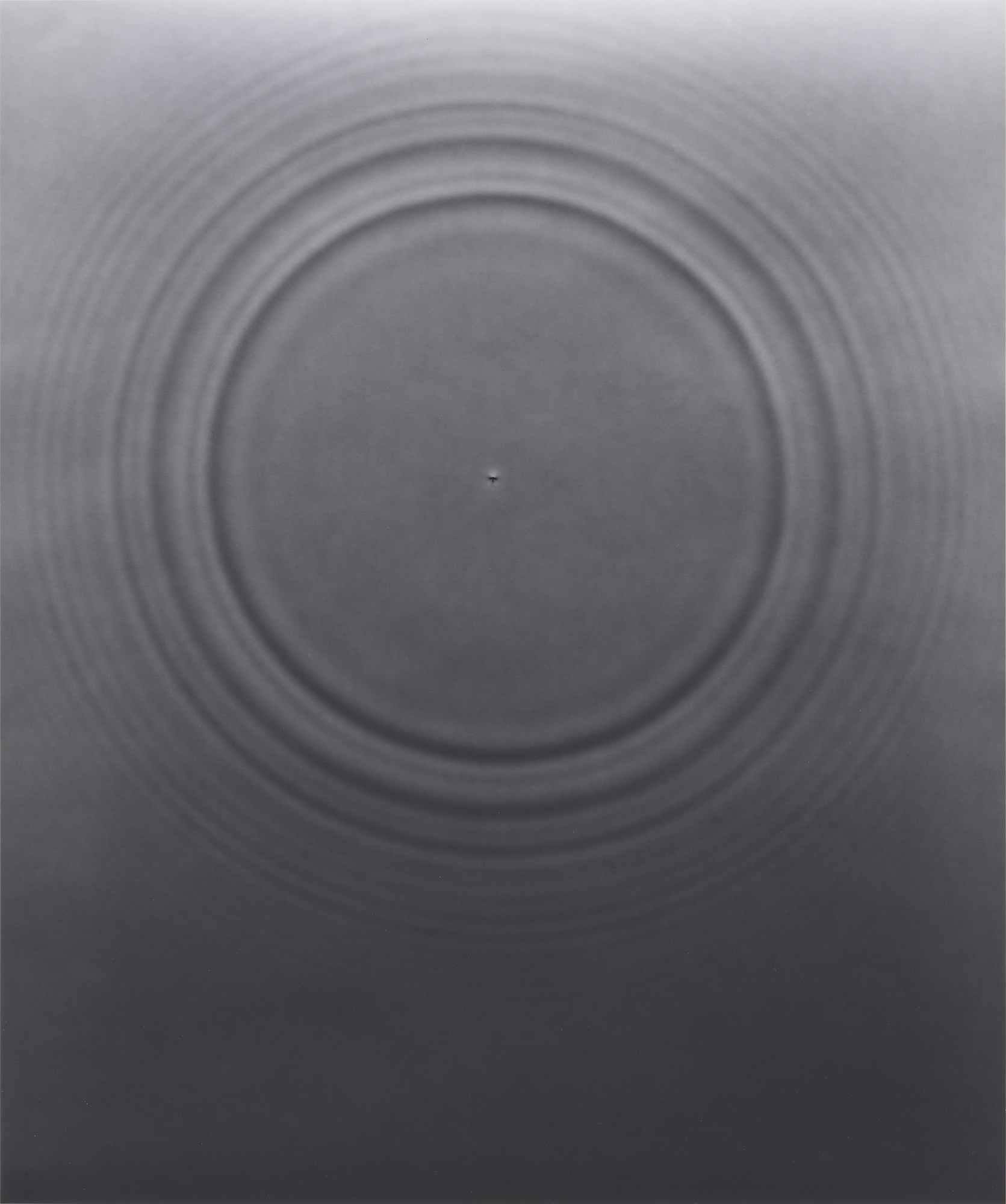 Adam Fuss | ARK (2005) | MutualArt